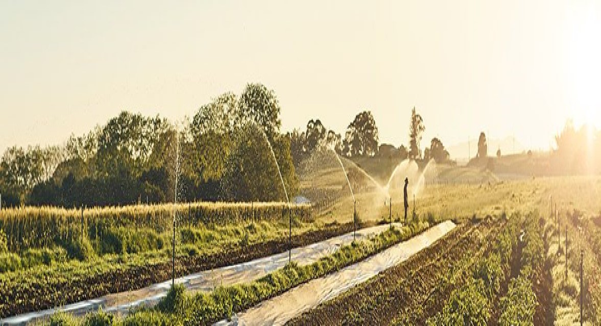 Strengthening Organic Enforcement Strengthening Organic Enforcement